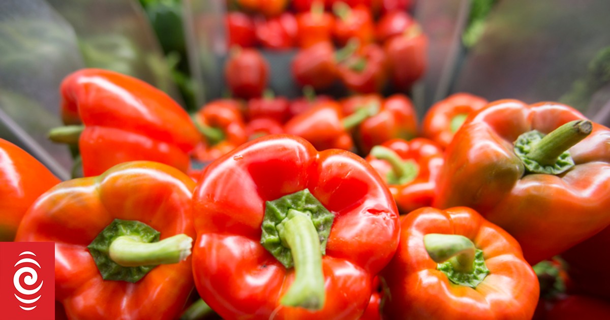 Fruit and Vege Report with Glenn Forsyth | RNZ