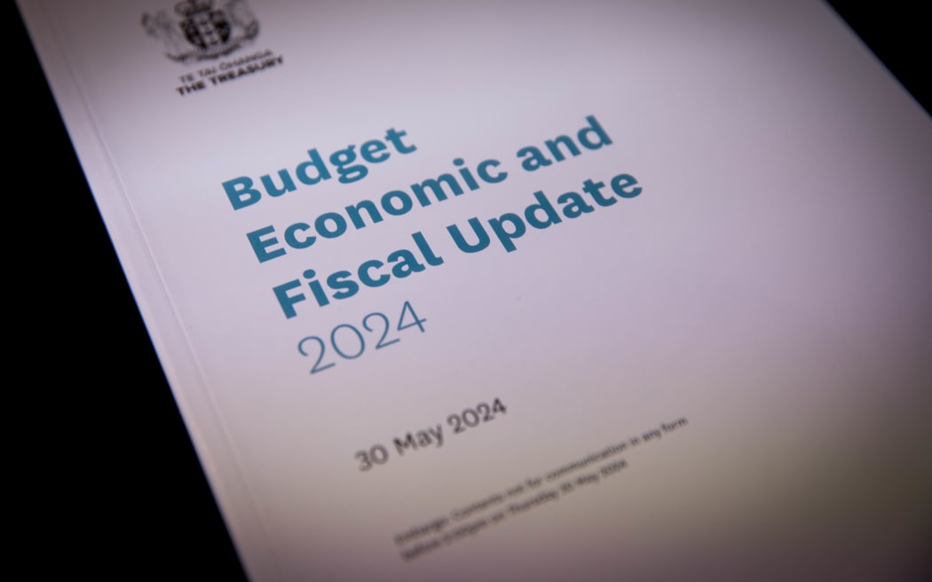 Unfunded roads and an unfinished tax: Treasury's fiscal risks | RNZ News