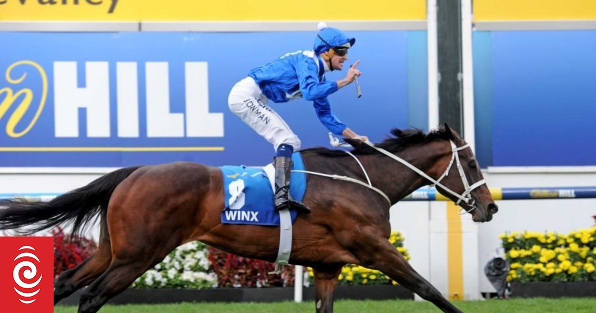 Legendary race horse Winx's first foal sells at an auction for $10m AUD ...