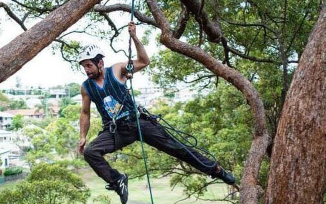 Activists call on political parties to commit to protecting tree ...