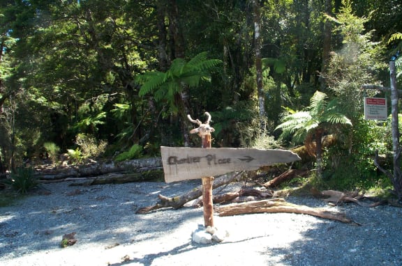 Charlie Paterson: Out of the Wild | A Gallery from Nine To Noon | RNZ ...