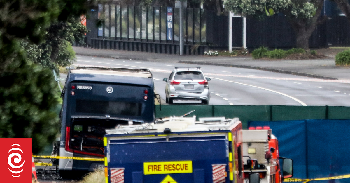 Tāmaki Drive in Auckland reopens after fatal bus crash | RNZ News