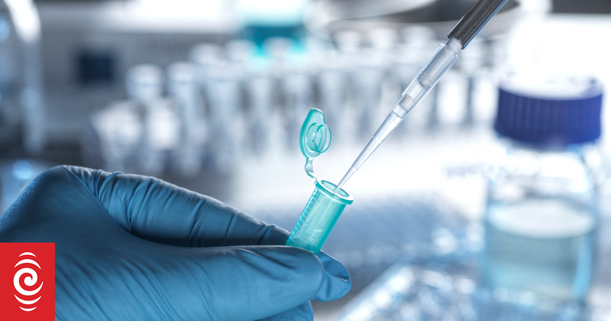 A new virus-like entity has just been discovered – 'obelisks' explained ...