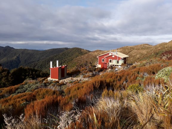 Talk the Walk: The Paparoa Track | RNZ