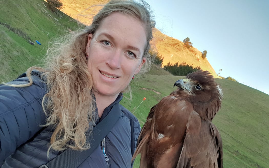 Expert Feature: Falconry | RNZ