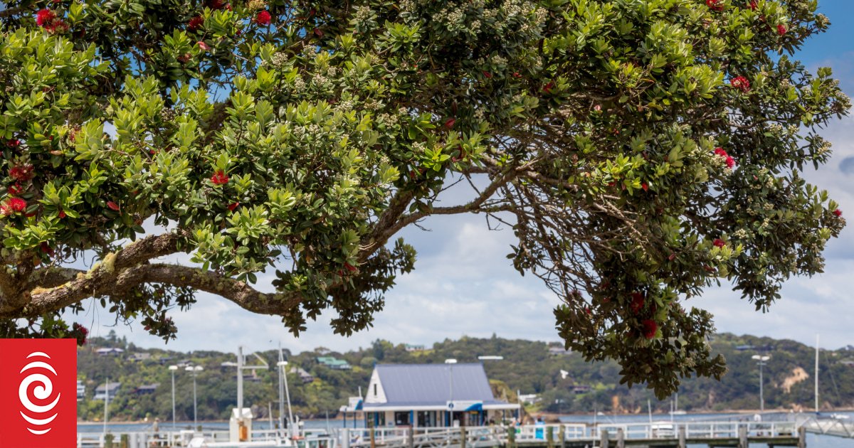 Unlocking the past: how NZ’s first jail tells a complex story of ...
