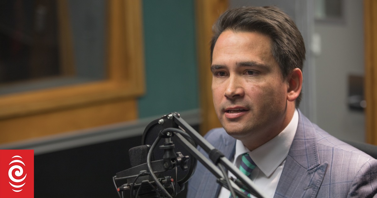 Watch: Simon Bridges on govt's families package | RNZ News