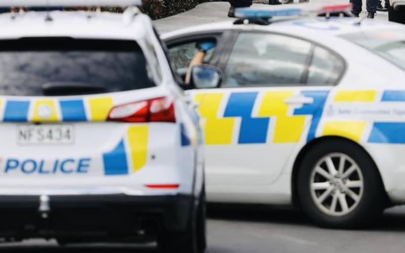 Man arrested after firing gun, pointing it at police in Auckland | RNZ