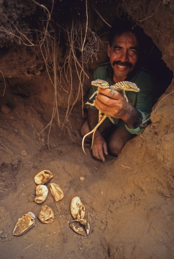 Rod Morris | A Gallery from Afternoons | RNZ National