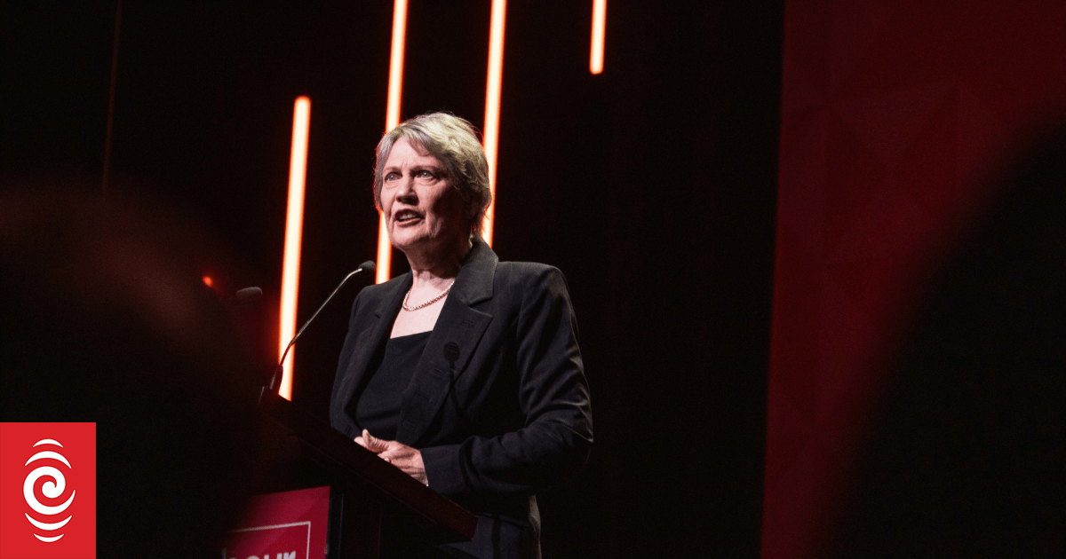 New Zealand 'lagging behind' rest of world by failing to recognise ...