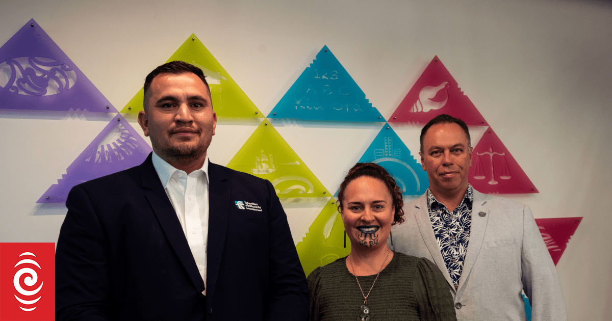 Te Mātāwai announces new board appointees to lead revitalisation of te ...