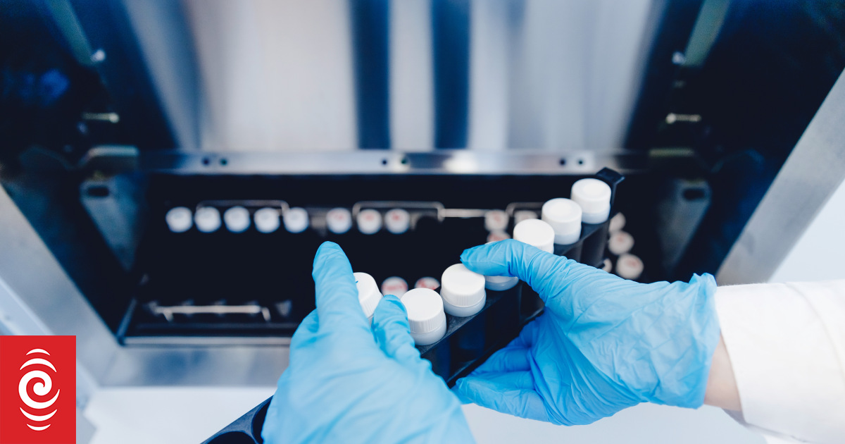 Monash IVF CEO Michael Knaap resigns after second embryo bungle | RNZ News