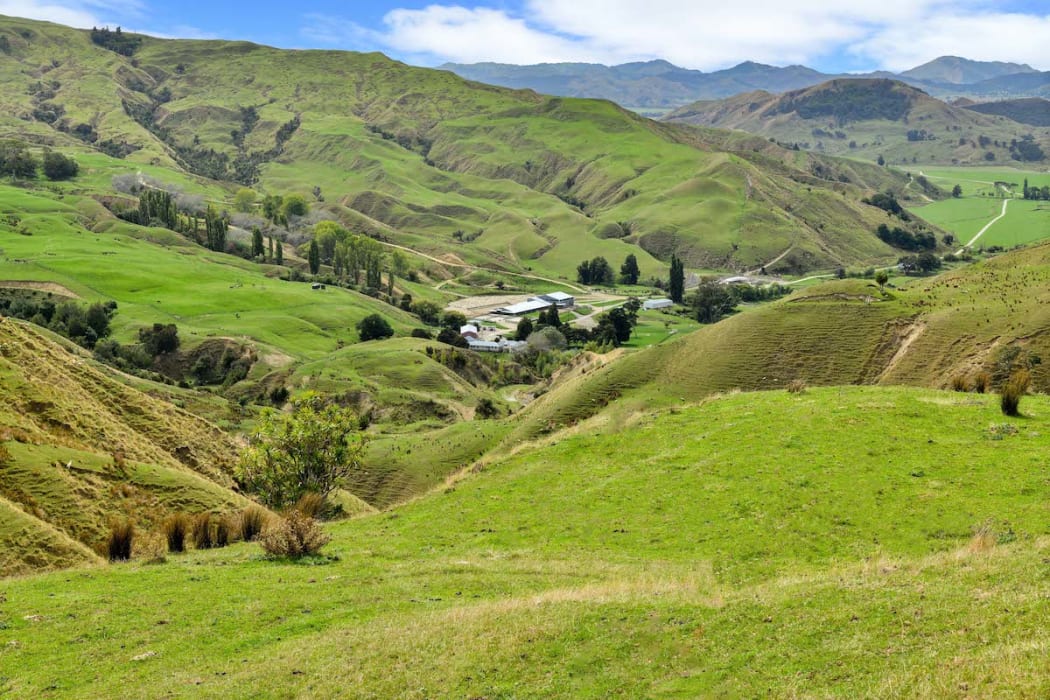 Farm owner rejects carbon bids to buy East Coast station | RNZ News