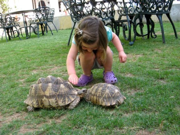 Our Own Odysseys: Jessica Venning-Bryan | A Gallery from Nights | RNZ ...