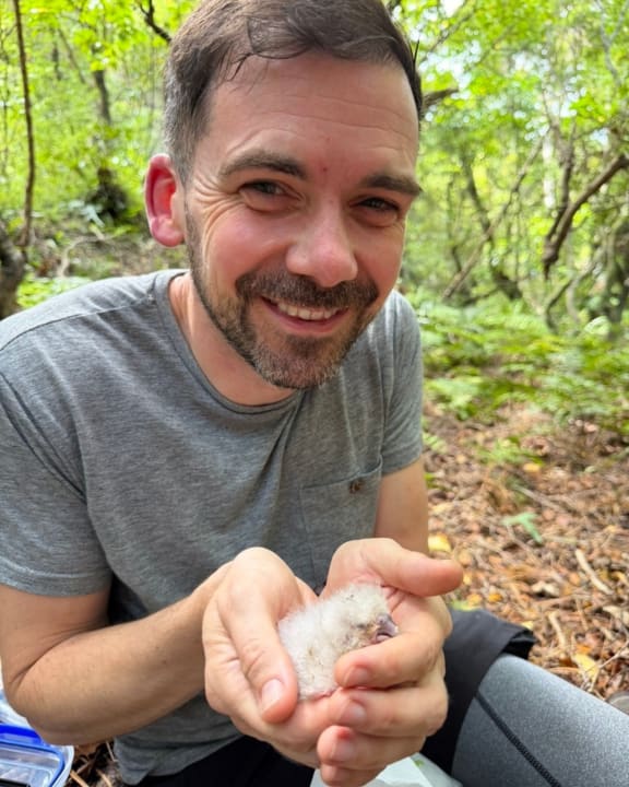 Over 100 kākāpō chicks hatch in record-breaking breeding season | RNZ News