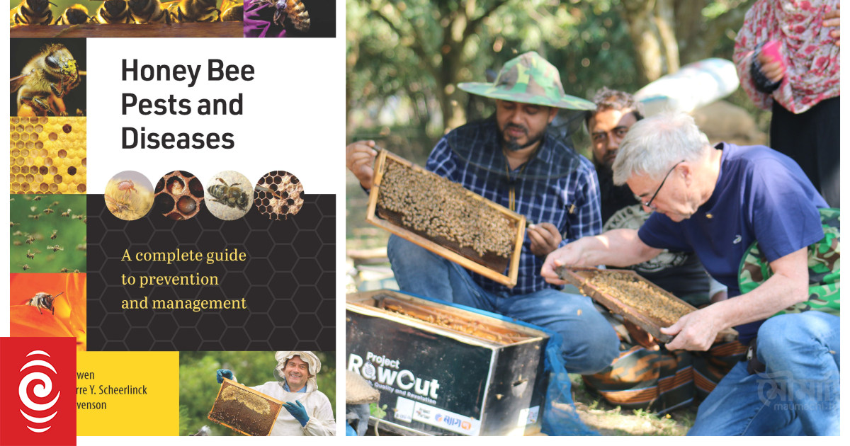Beekeeping: how to handle honey bee pests and diseases | RNZ