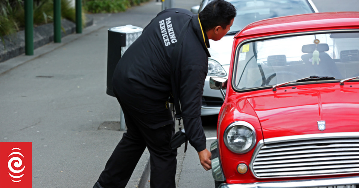 Cameras to deter daily parking warden abuse | RNZ News