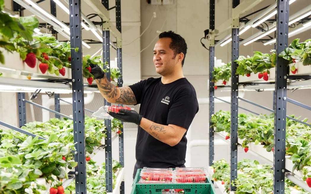 Climate extremes make NZ's supply chains highly vulnerable - it's time ...