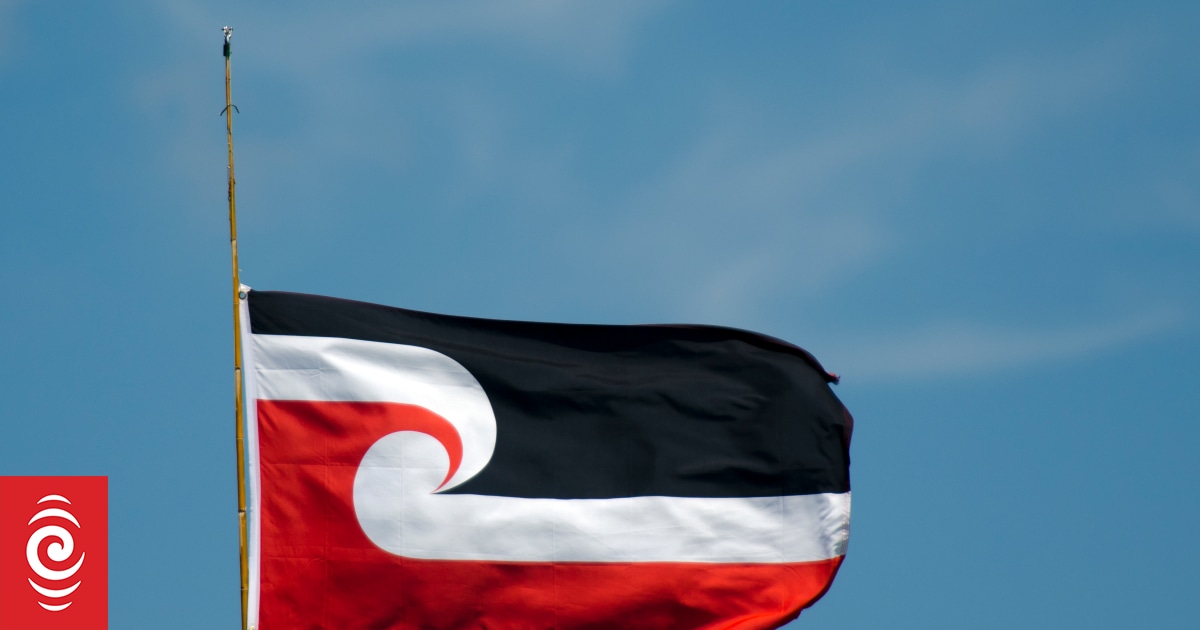 Māori and First Nations flags to fly at football World Cup | RNZ News