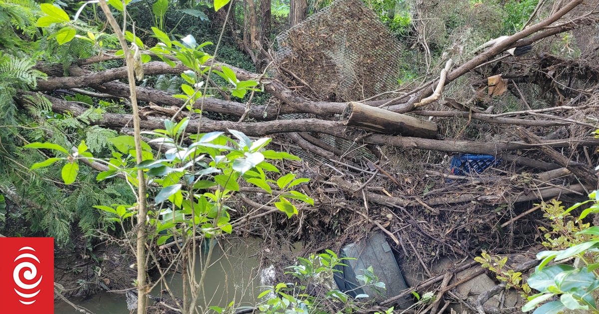 Flood-prone Aucklanders want more stream maintenance | RNZ