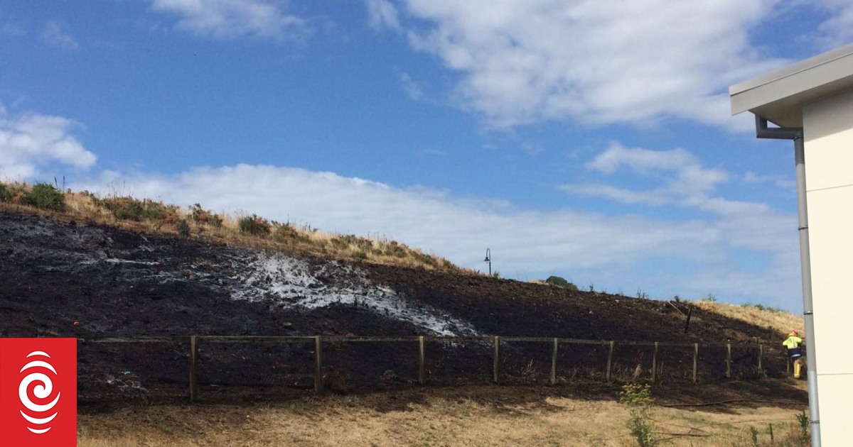 Scrub fire near Porirua school | RNZ News
