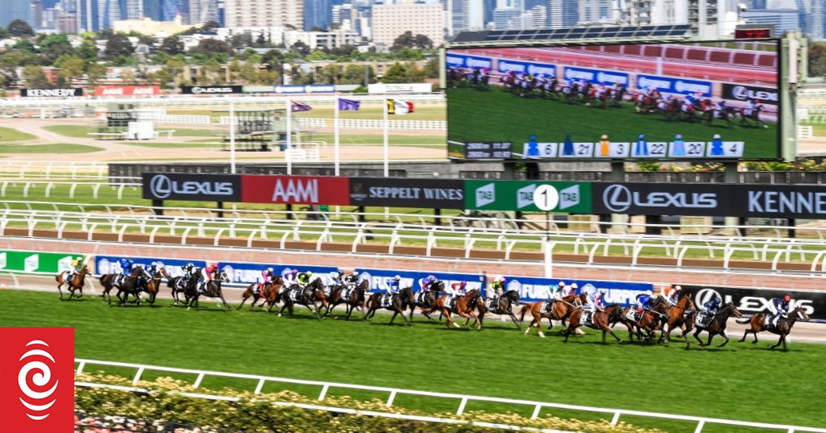 Kiwi hopes at Melbourne Cup | RNZ