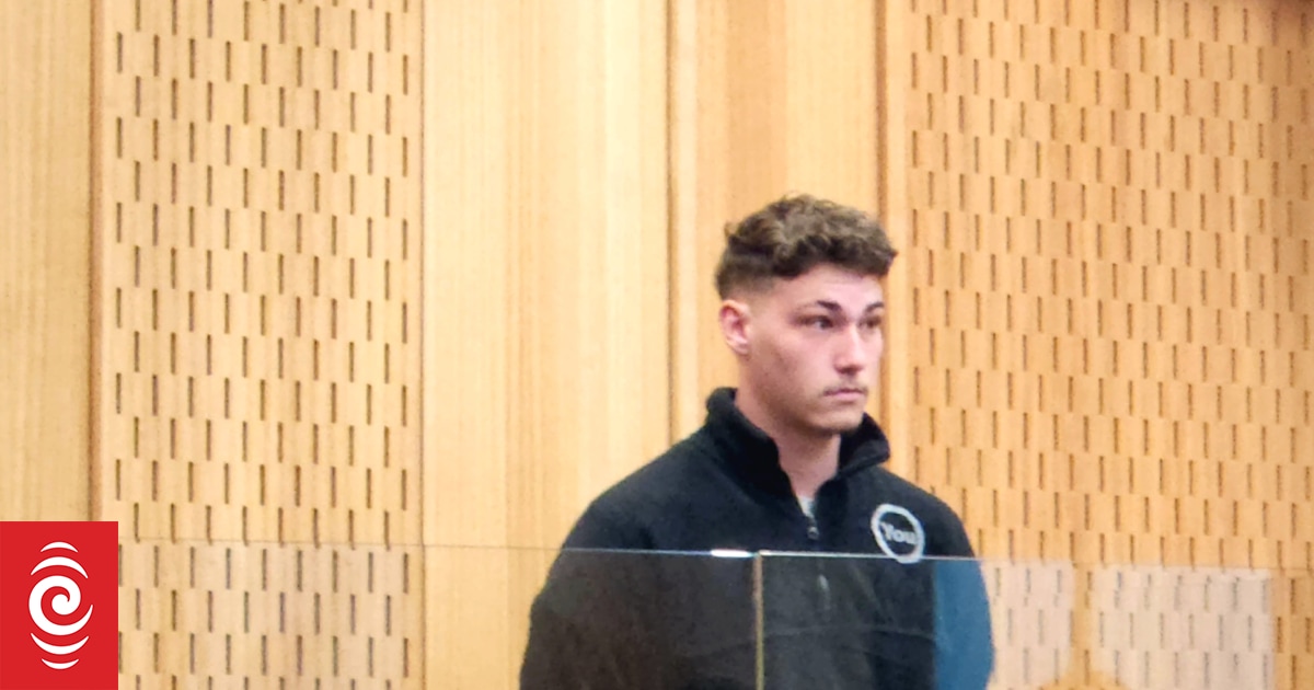 19yo to serve rest of manslaughter sentence on home detention | RNZ News