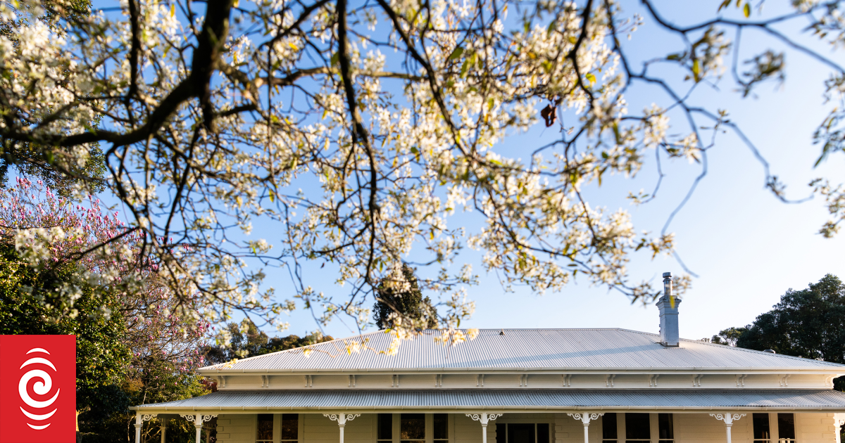 Manawatū family linked to All Blacks gives old homestead new lease on ...