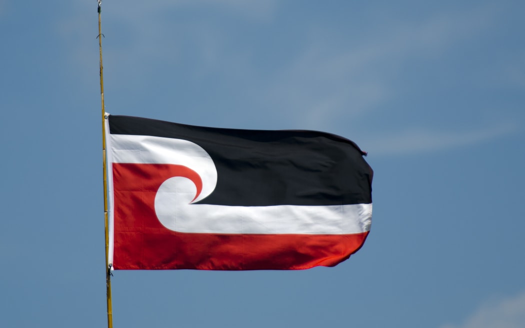 Māori and First Nations flags to fly at football World Cup | RNZ News