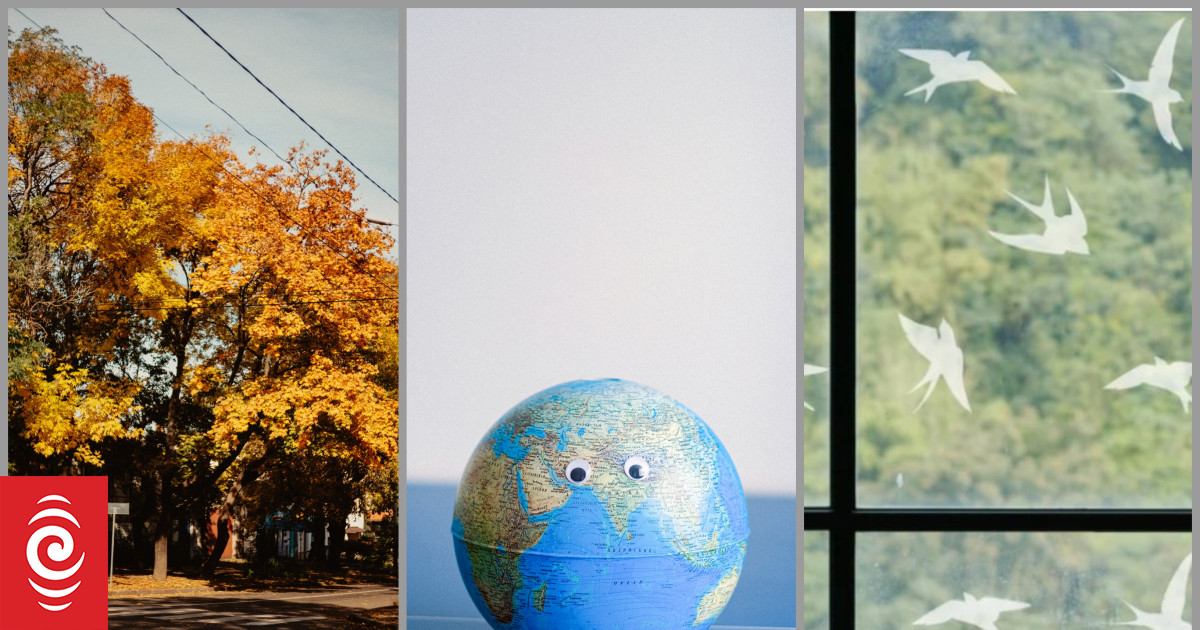 Science commentator Laurie Winkless | RNZ