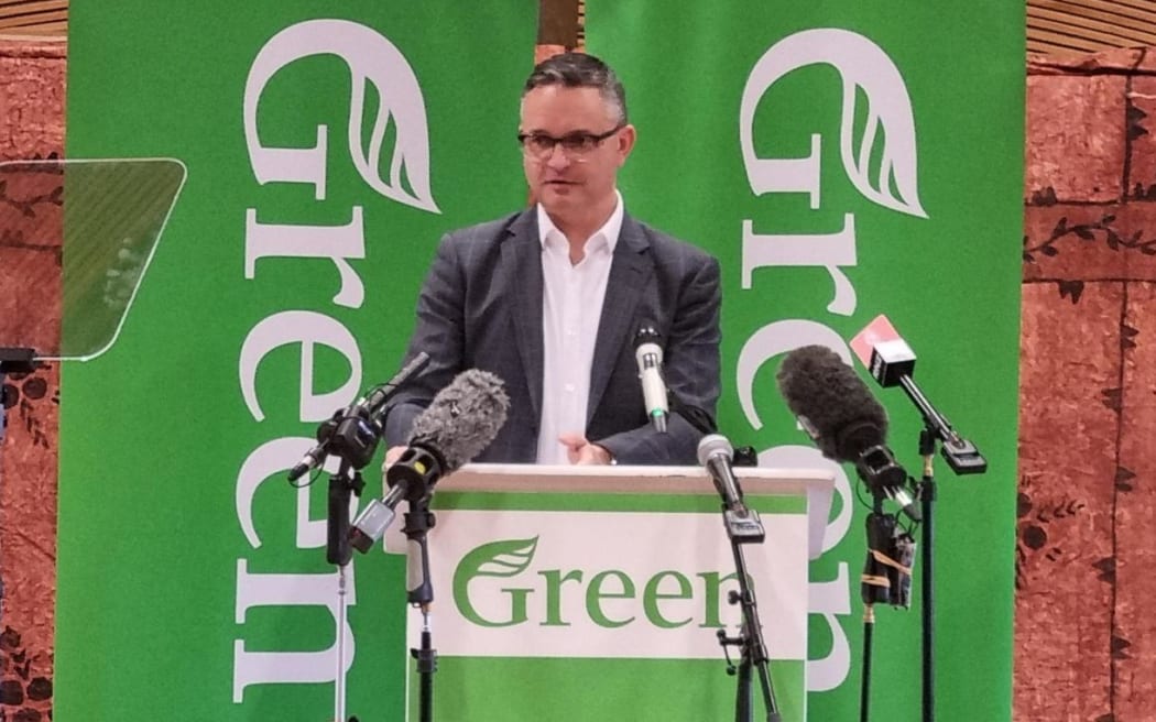 James Shaw re-elected Greens co-leader at party AGM | RNZ News