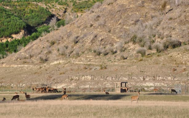 Future big droughts may be worse than we think - NZ's past shows why | RNZ