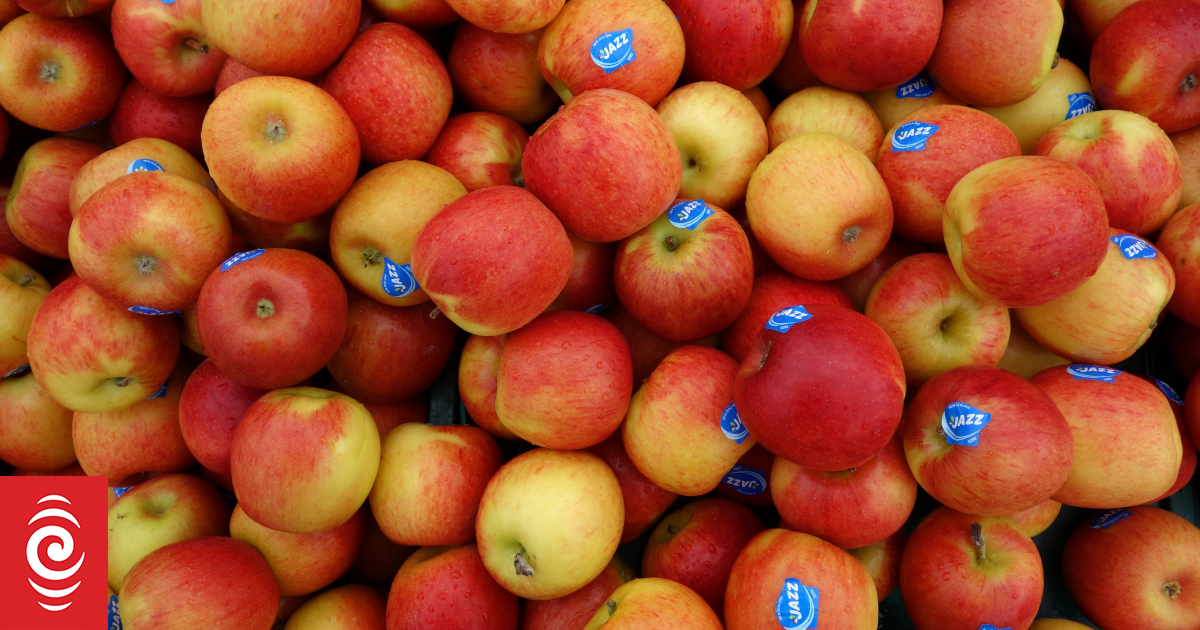 40 years of Jazz and Envy apples | RNZ