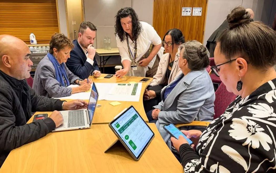 New Plymouth Distrcit Council steps up Waitangi Treaty duties despite ...