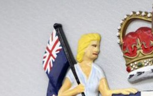 Policewoman injured in Hawera court protest | RNZ News