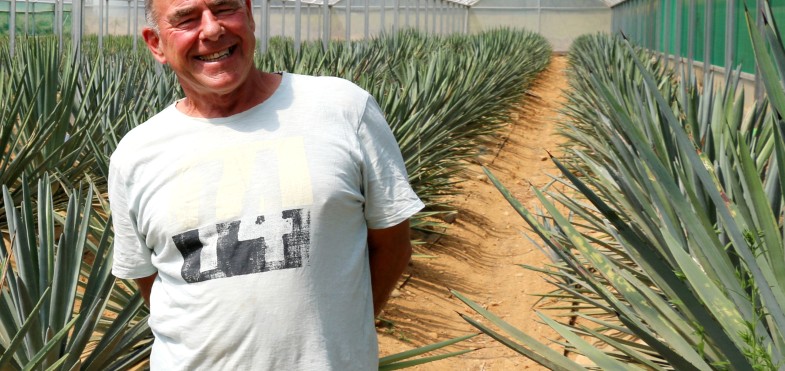 Spirits are up for maker of Blue Agave Tequilana Drink | RNZ News