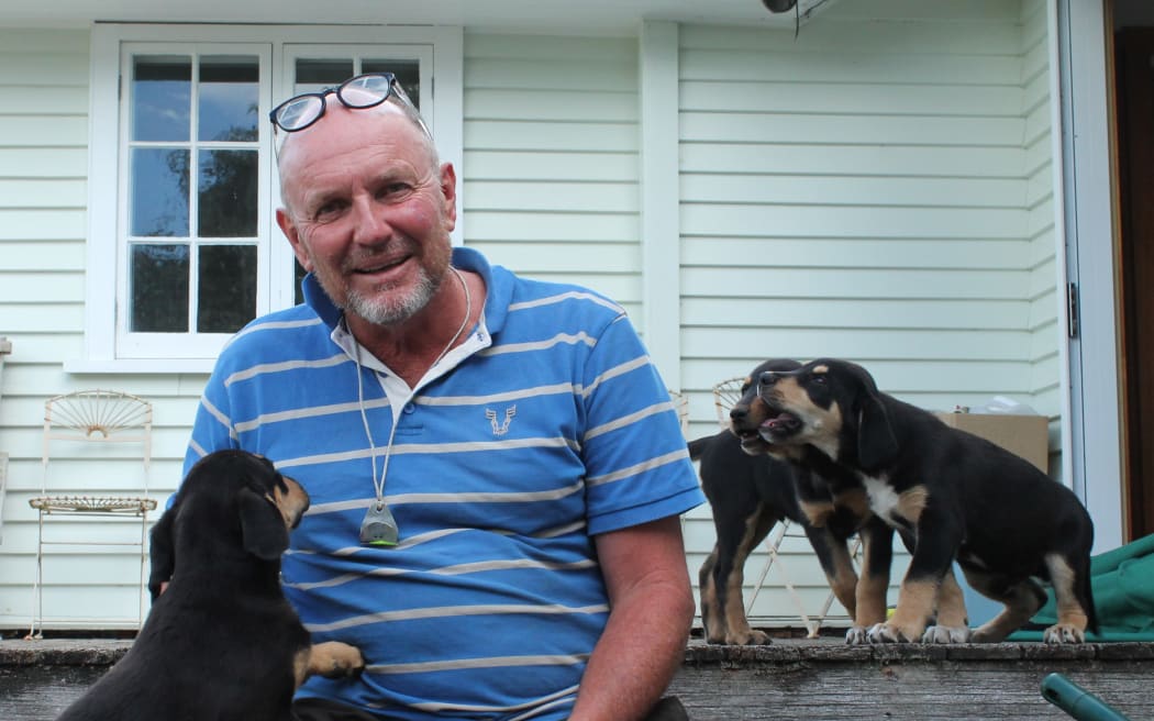 Pine trees to pay for agricultural emission bills | RNZ