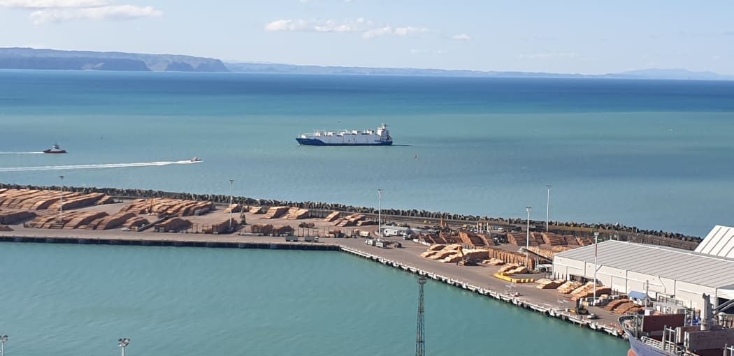Live export ship arrives in Napier for thousands of cows without ...
