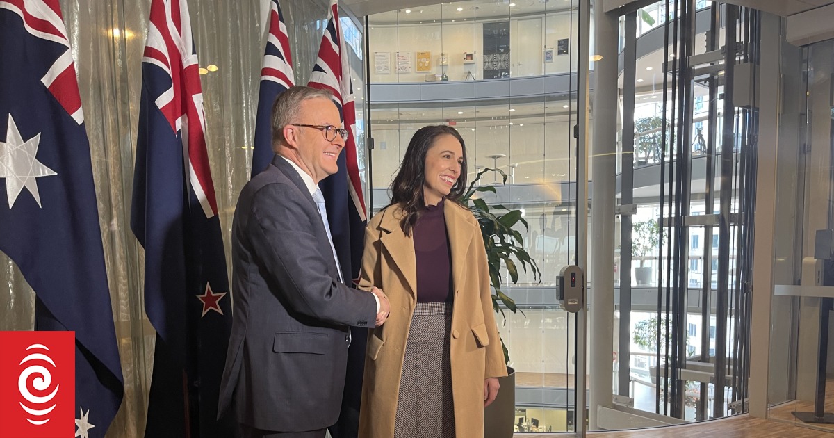 Political commentators Neale Jones & Tim Hurdle | RNZ