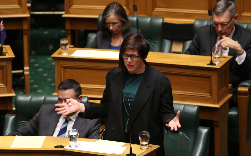 Jan Logie: Balancing frustration with hope | RNZ