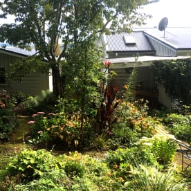 Gordon Collier's magical home gardens | RNZ