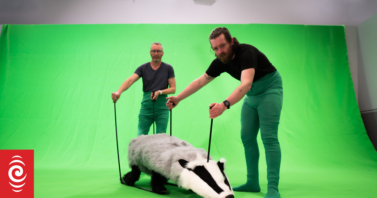 The Badger's Story set to thrill | RNZ