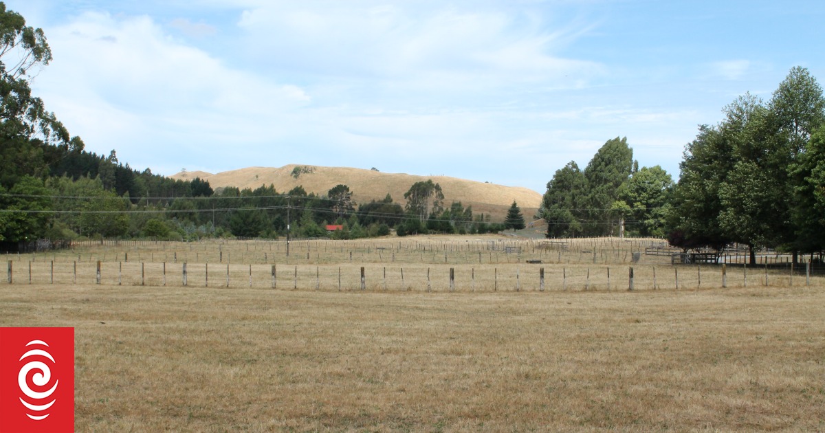 Waikato farmers urged to plan ahead as dry weather continues | RNZ News