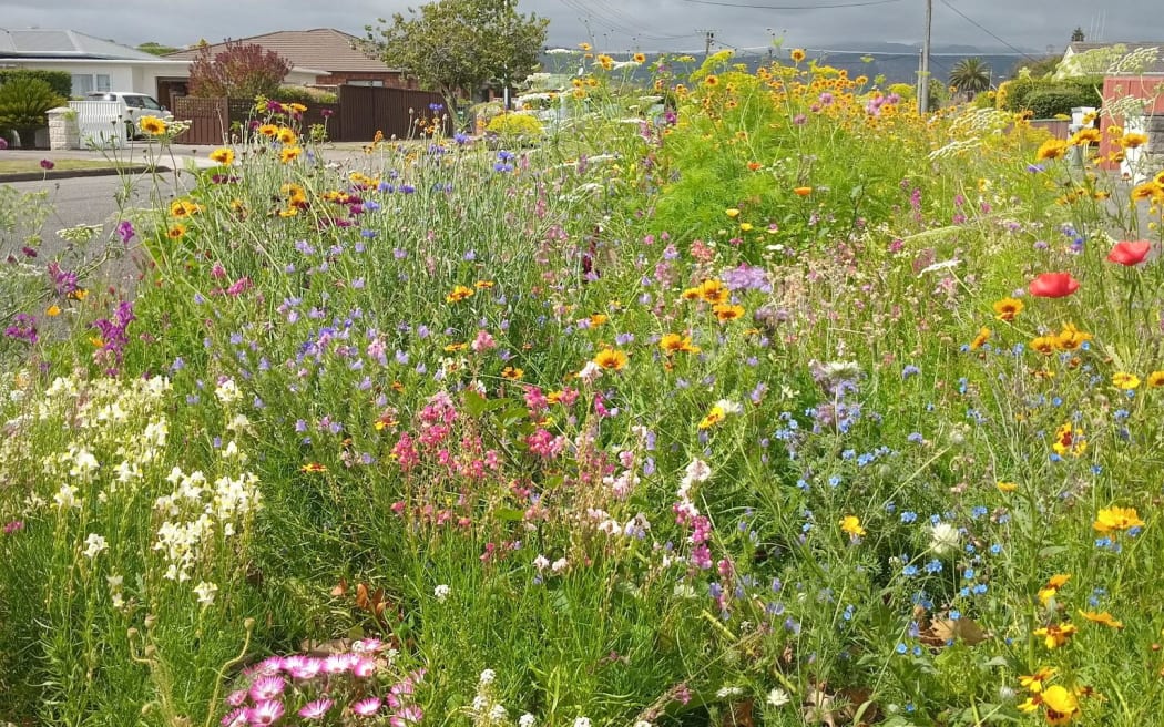 Council cost cutting prompts Levin woman to turn berm into flower ...