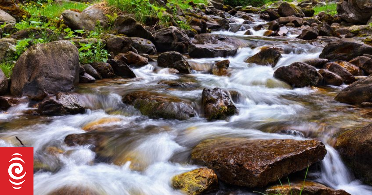 Public wants fast rivers clean-up but farmers call for handbrake | RNZ News