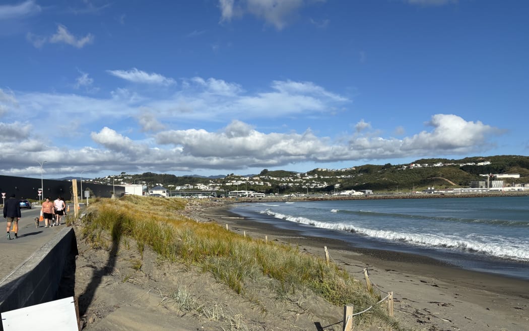 Lifting of Wellington swimming ban 'positive shock' for businesses ...