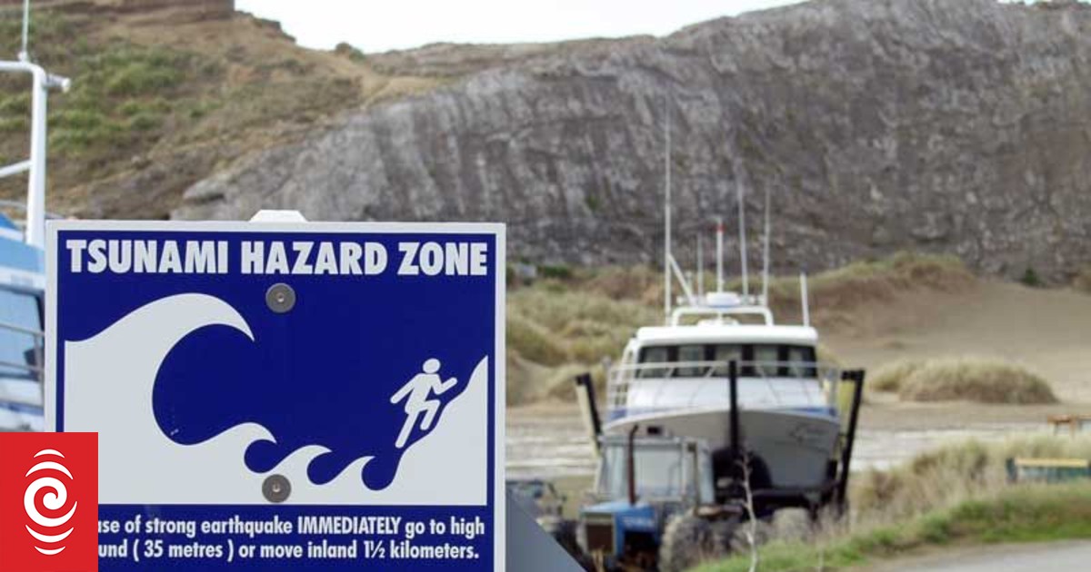'Vital' people know tsunami warning signs - emergency manager | RNZ News