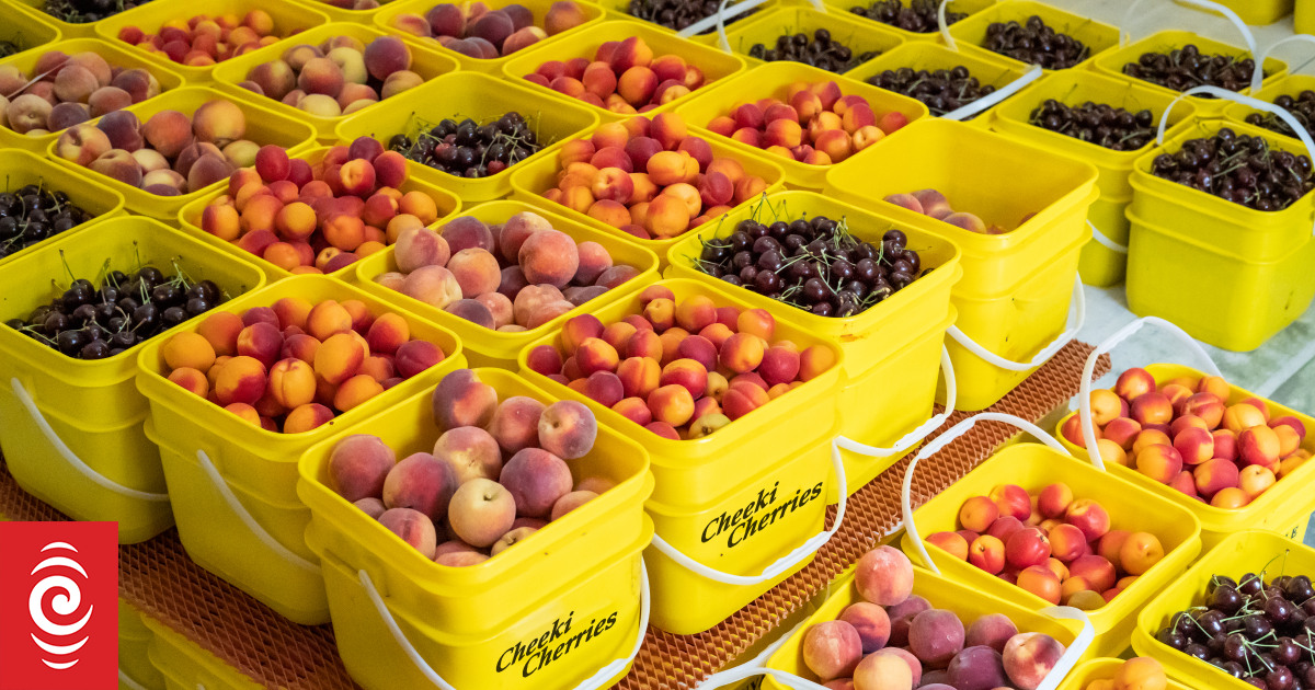 Fruit and Vege Report with Glenn Forsyth | RNZ