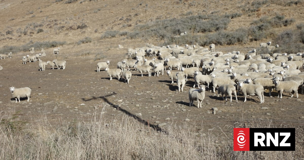 Driest November in more than 100 years for parts of Canterbury | RNZ