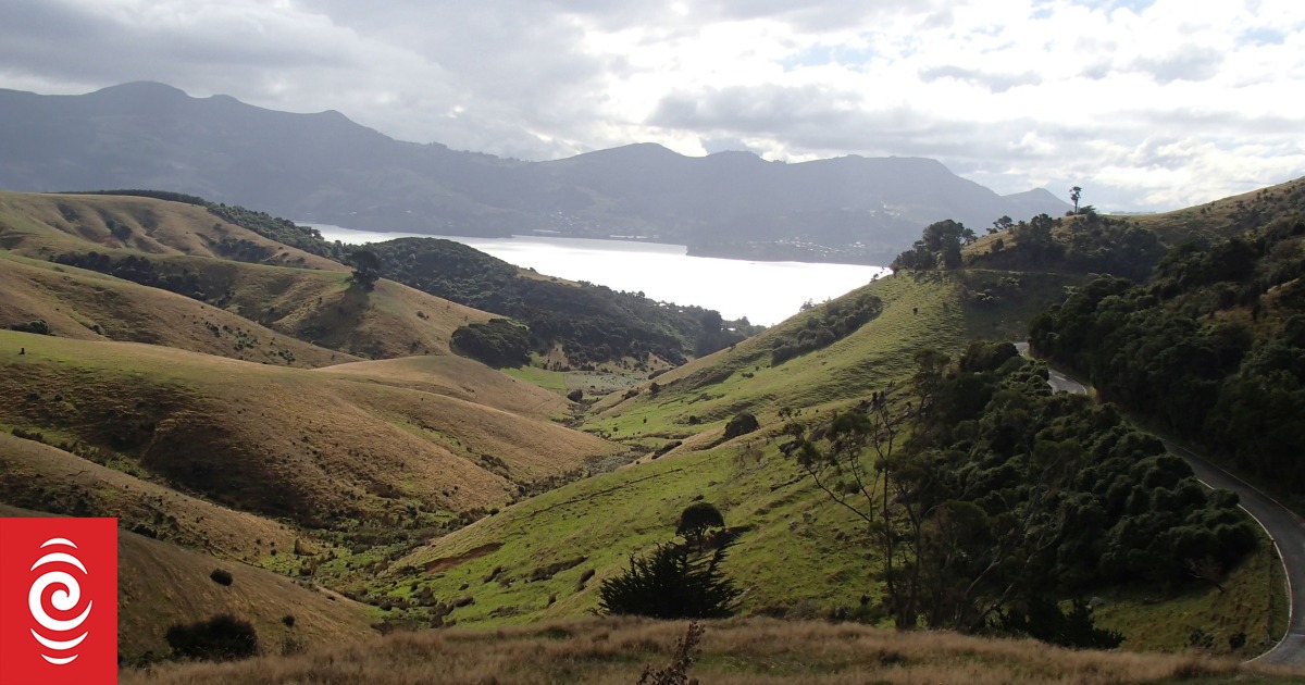 Much of NZ 'dotted' with little-known volcanoes, scientist reveals ...